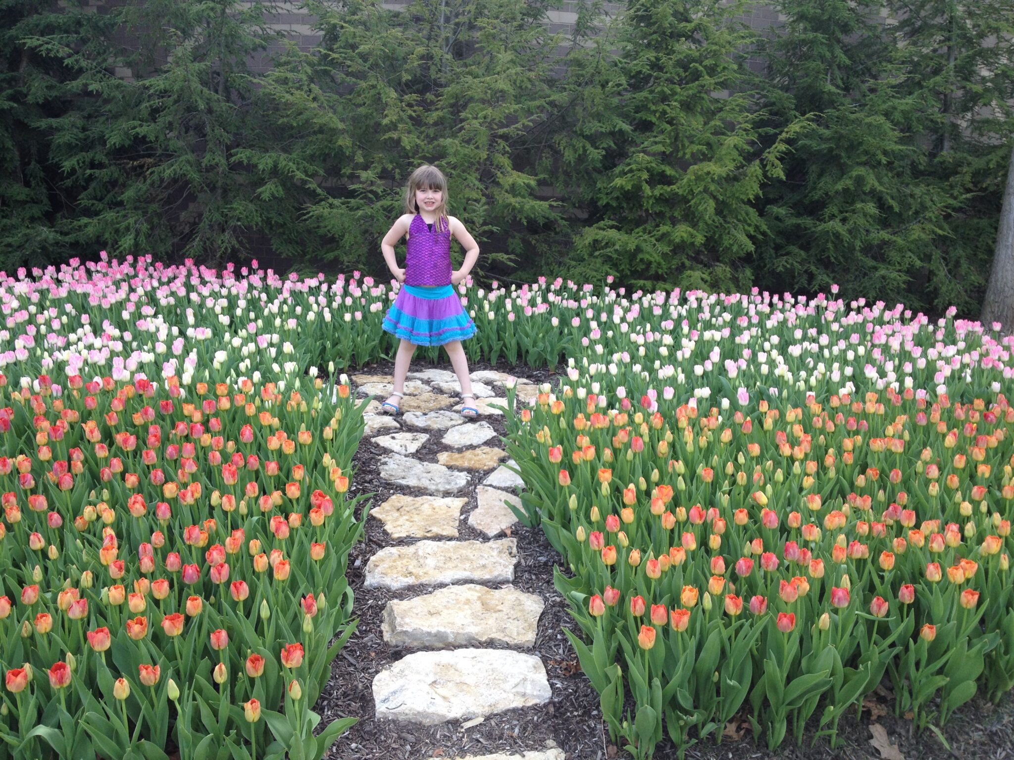 Spring renewal: why we adore spring - Lewis Center Mom