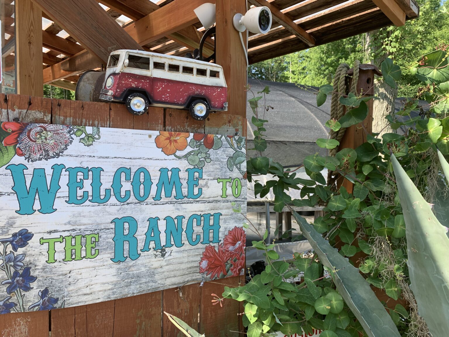 Clean, green fun at Groovy Plants Ranch - Lewis Center Mom