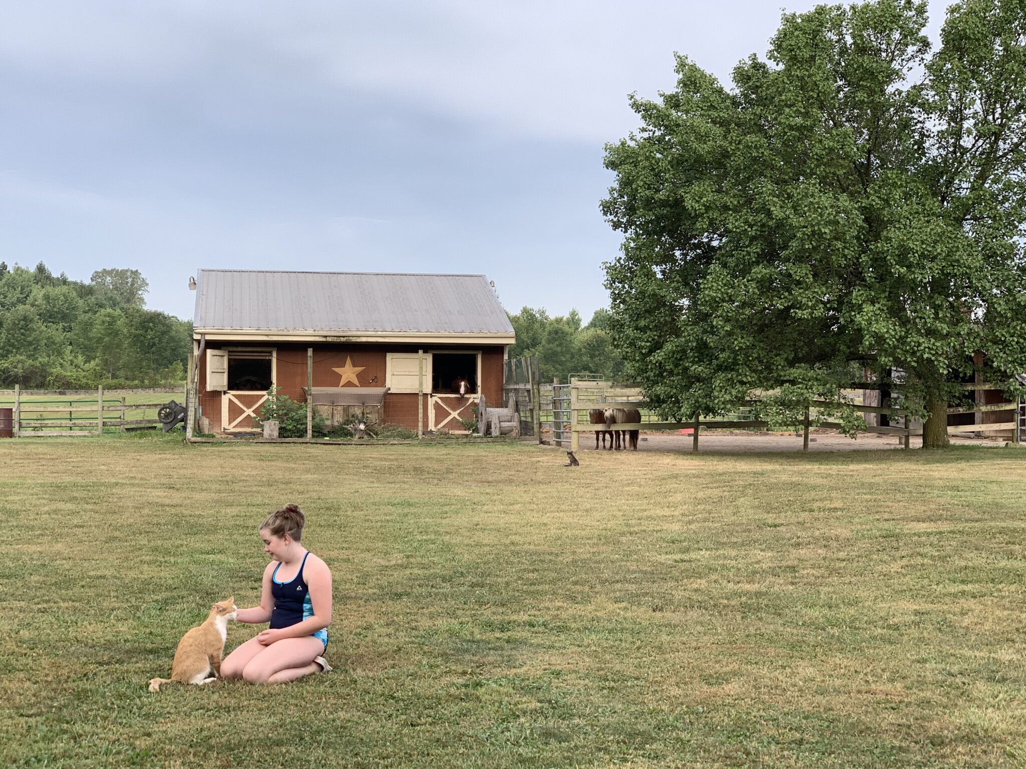 We found the AirBnB animal farm of our dreams - Lewis Center Mom