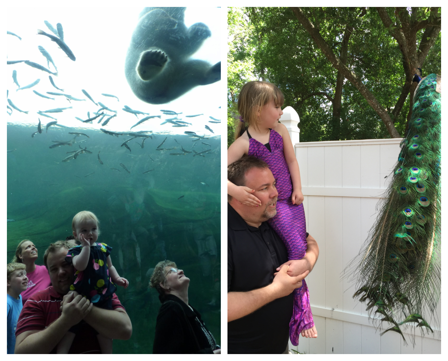 We love animals. A lot. - Lewis Center Mom