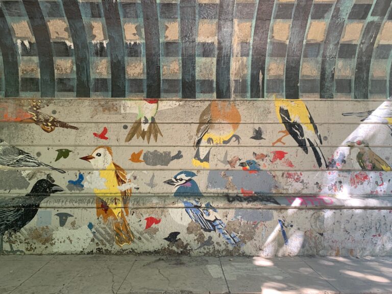 Hunting for the hidden bird tunnel in Clintonville - Lewis Center Mom