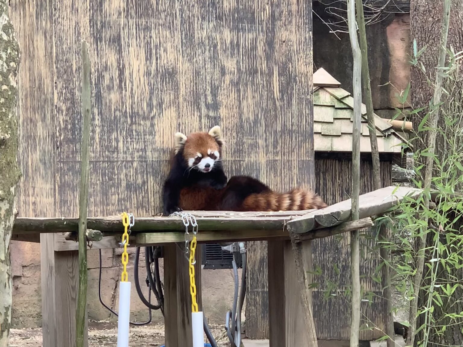 We're going to the zoo, how about you? - Lewis Center Mom