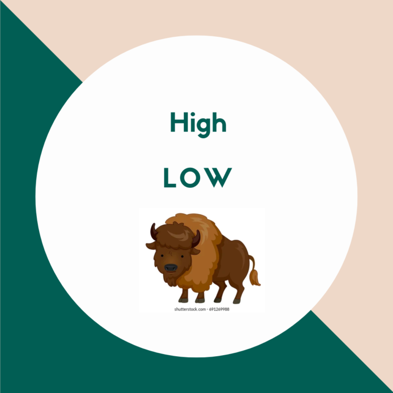 One of our family's favorite conversation starters - Lewis Center Mom